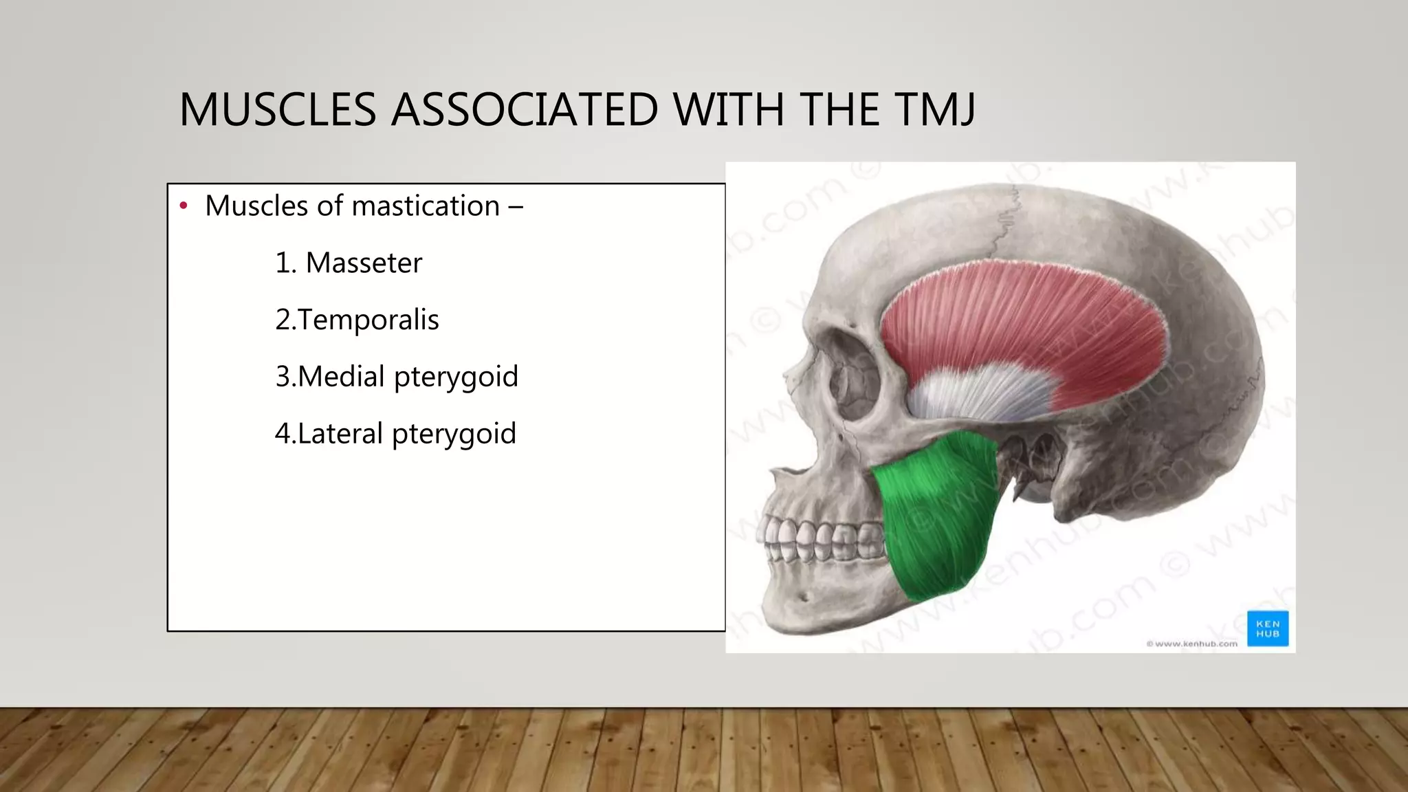 Anatomy and physiology of temporomandibular joint | PPTX