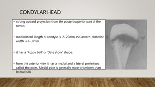 Anatomy and physiology of temporomandibular joint | PPTX