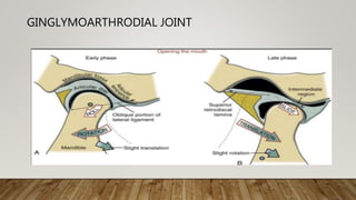 Anatomy and physiology of temporomandibular joint | PPT