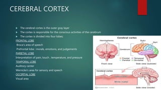 ANATOMY AND PHYSIOLOGY OF THE BRAIN AND SPINAL.pptx