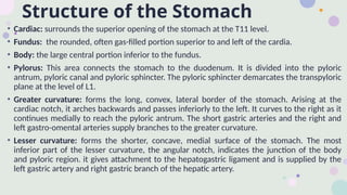 Anatomy and Physiology of the Digestive system.pptx