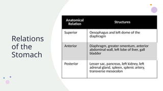 Anatomy and Physiology of the Digestive system.pptx