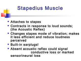 Anatomy and physiology of the ear | PPT