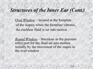 Anatomy and physiology_of_the_ear | PPT