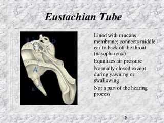 Anatomy and physiology_of_the_ear | PPT