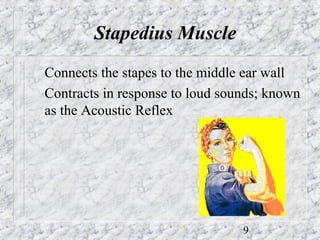 Anatomy and physiology_of_the_ear | PPT