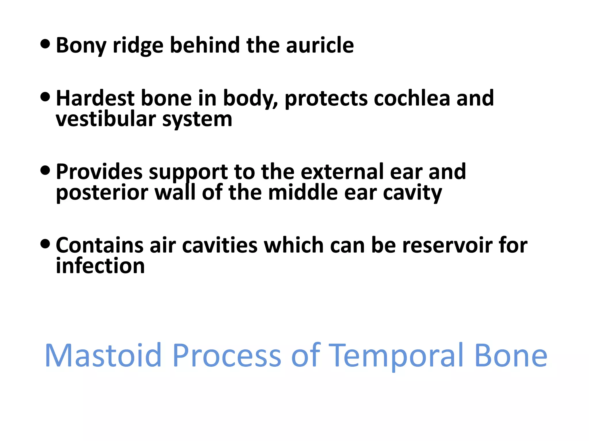 anatomy and physiology of the ear.ppt | Ear, Nose and Throat Conditions ...