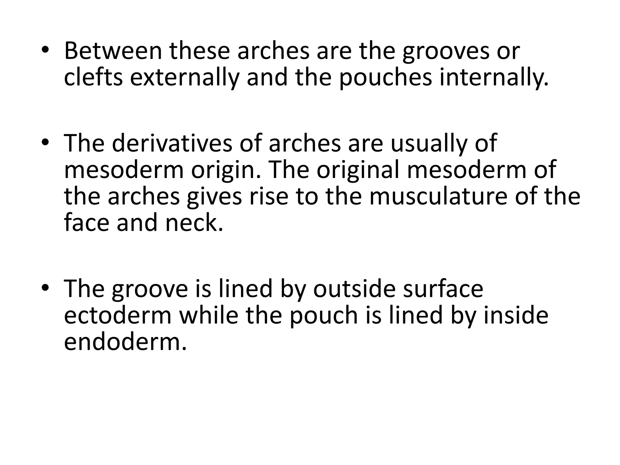 anatomy and physiology of the ear.ppt | Ear, Nose and Throat Conditions ...