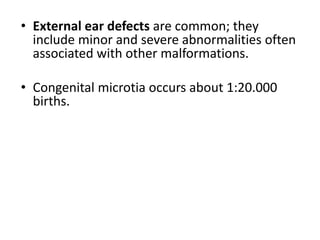 anatomy and physiology of the ear.ppt