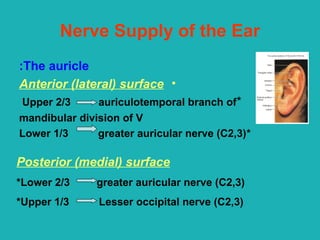 anatomy and physiology of the ear. physiology of hearing | PPT
