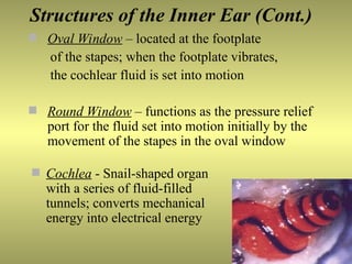 Anatomy_and_Physiology_of_the_Ear for class.ppt