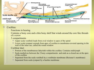 Anatomy_and_Physiology_of_the_Ear for class.ppt