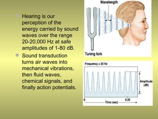 Anatomy_and_Physiology_of_the_Ear for class.ppt