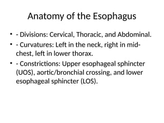 Anatomy_and_Physiology_of_the_Esophagus_Expanded | PPTX