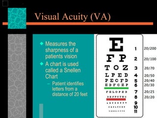 Anatomy and physiology of the eye | PPT