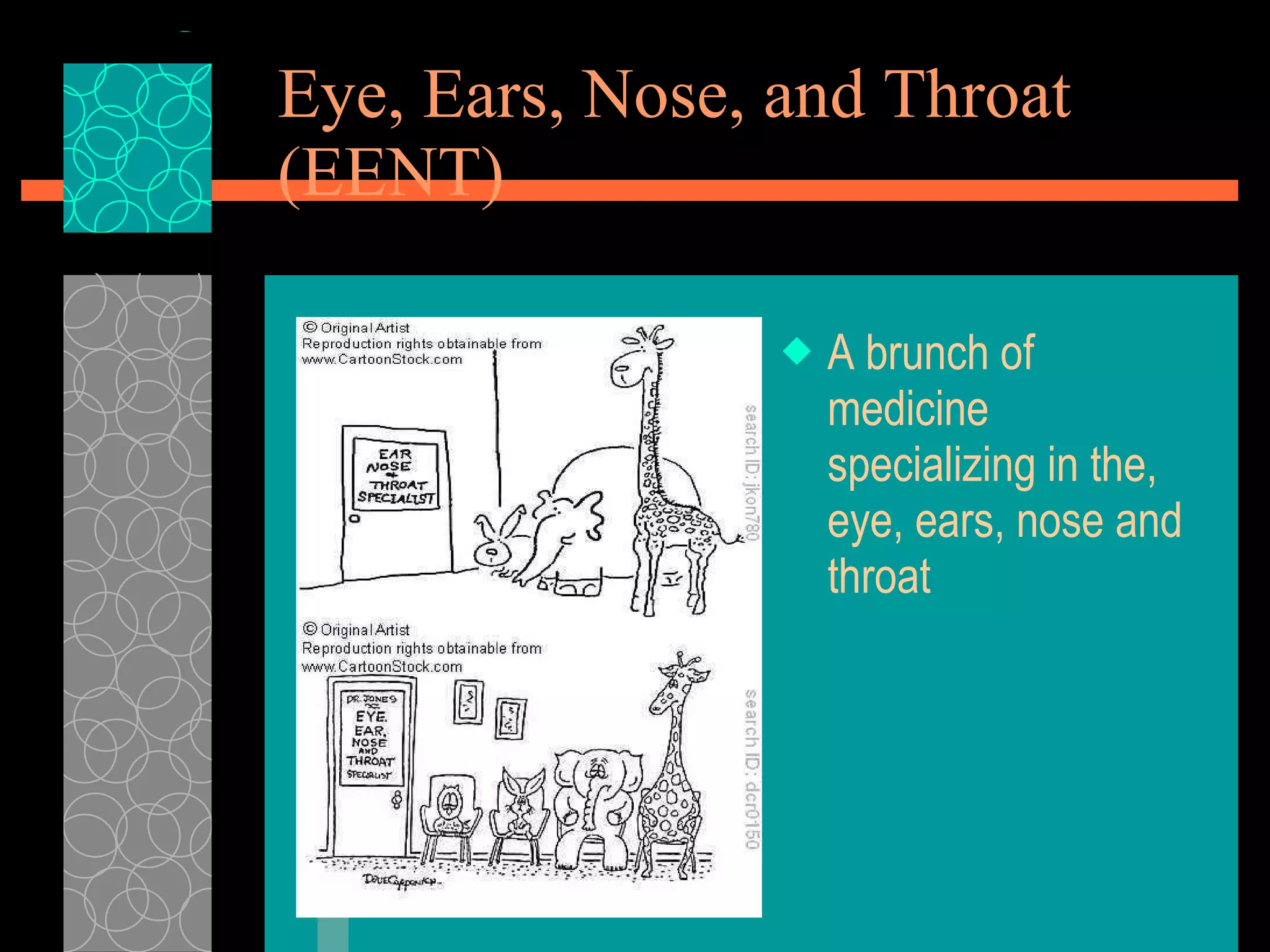 Anatomy and physiology of the eye | PPT