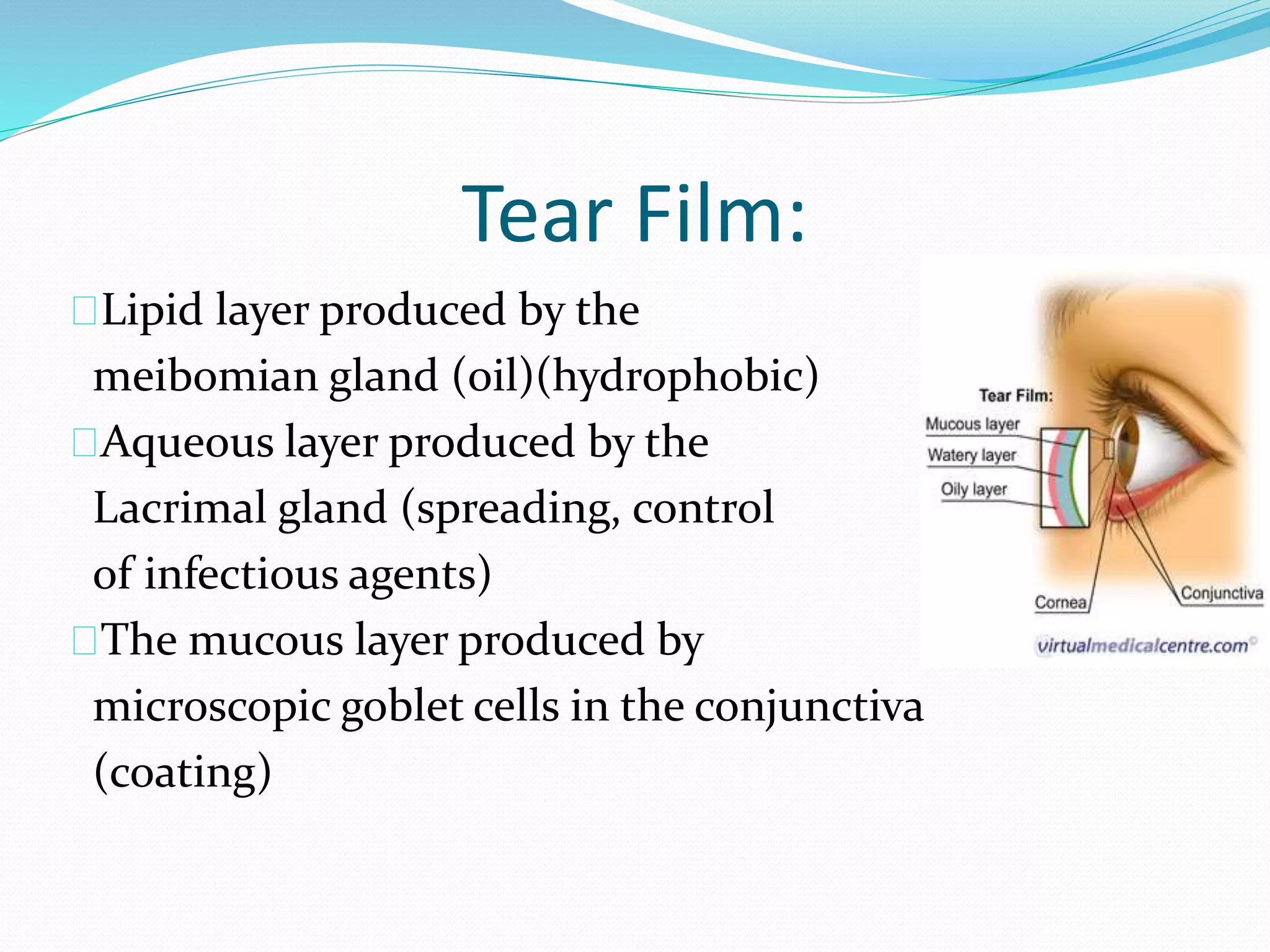 Anatomy and physiology of the eye | PPTX