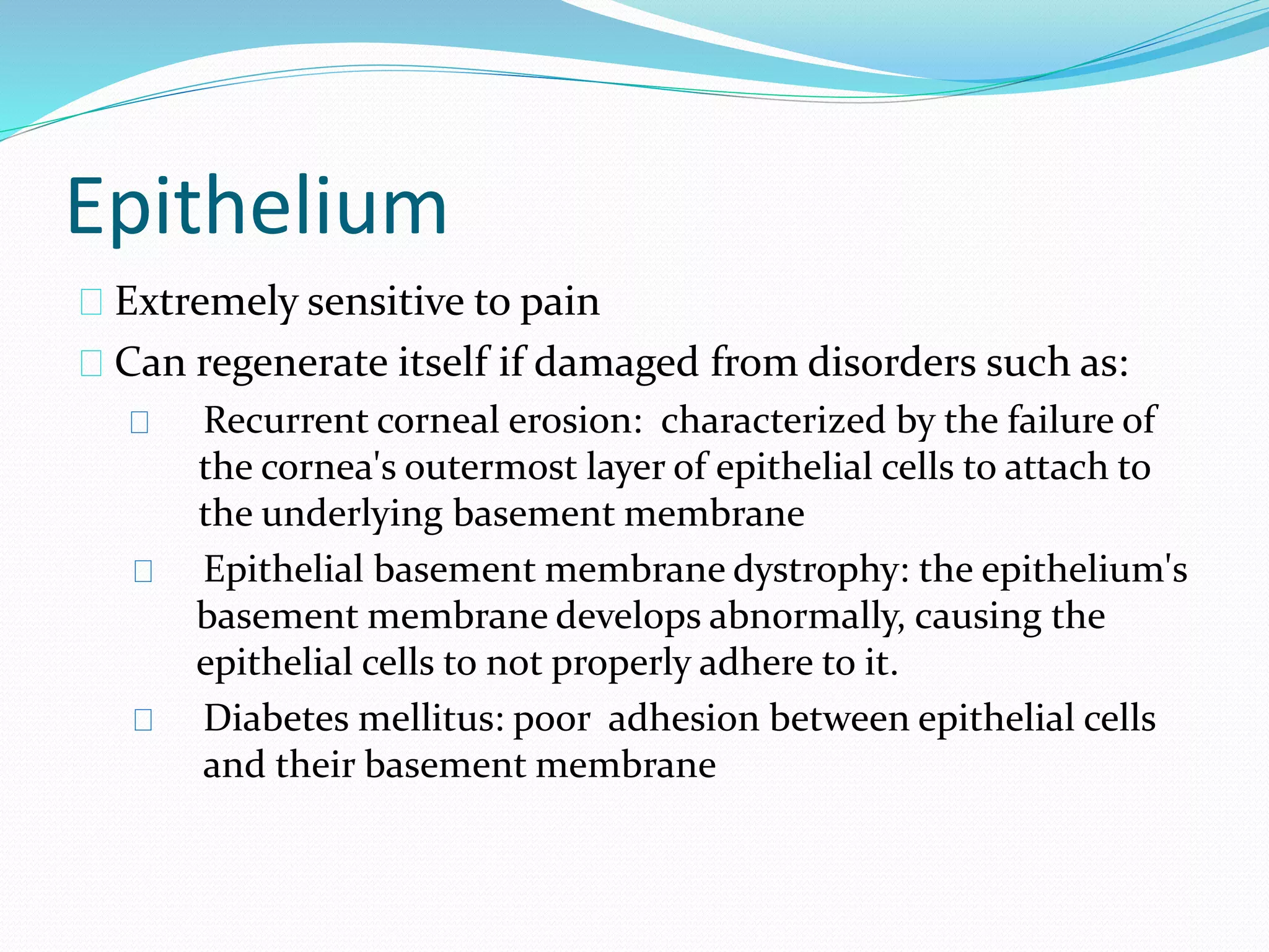 Anatomy and physiology of the eye | PPTX