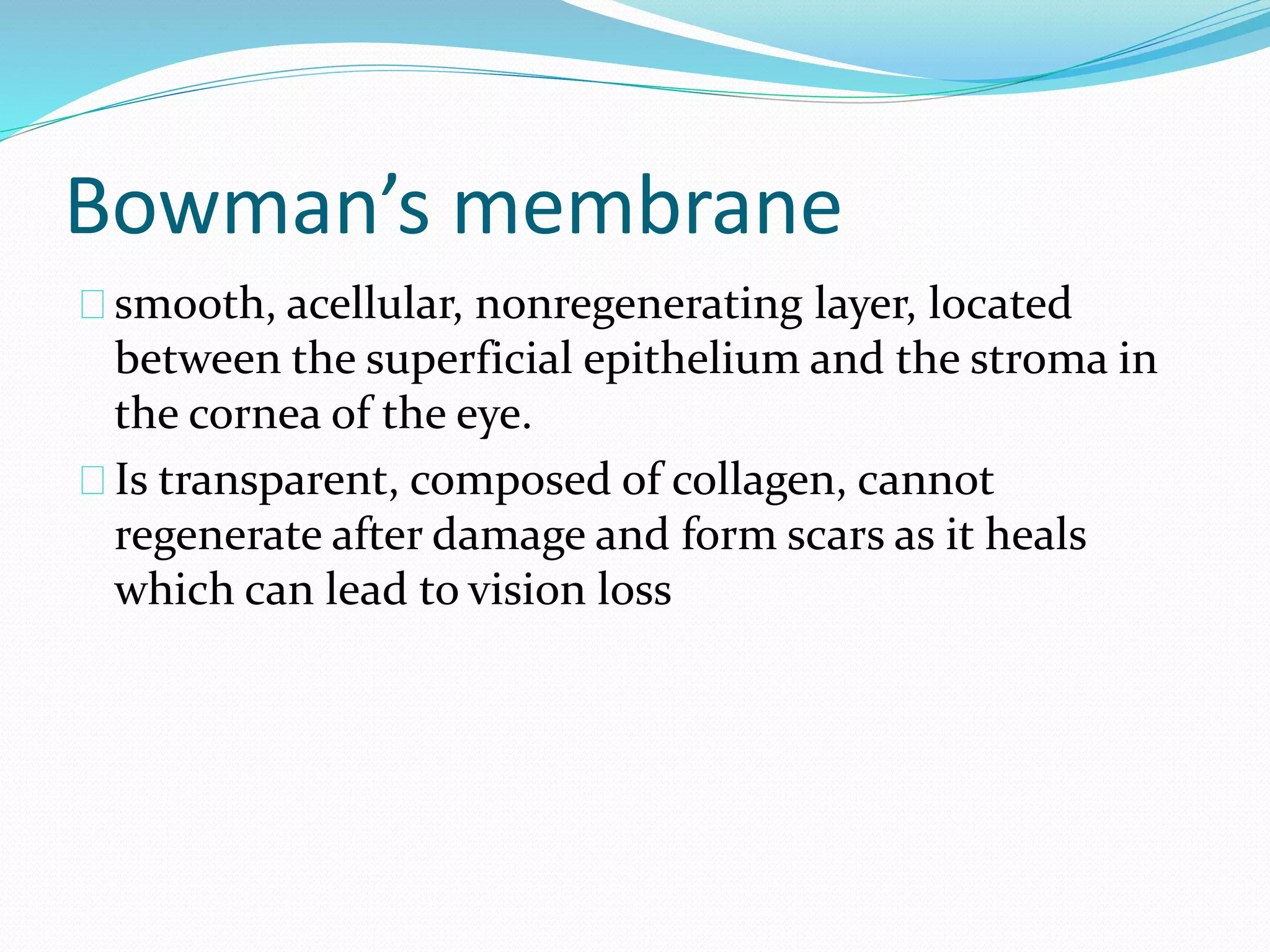 Anatomy and physiology of the eye | PPTX
