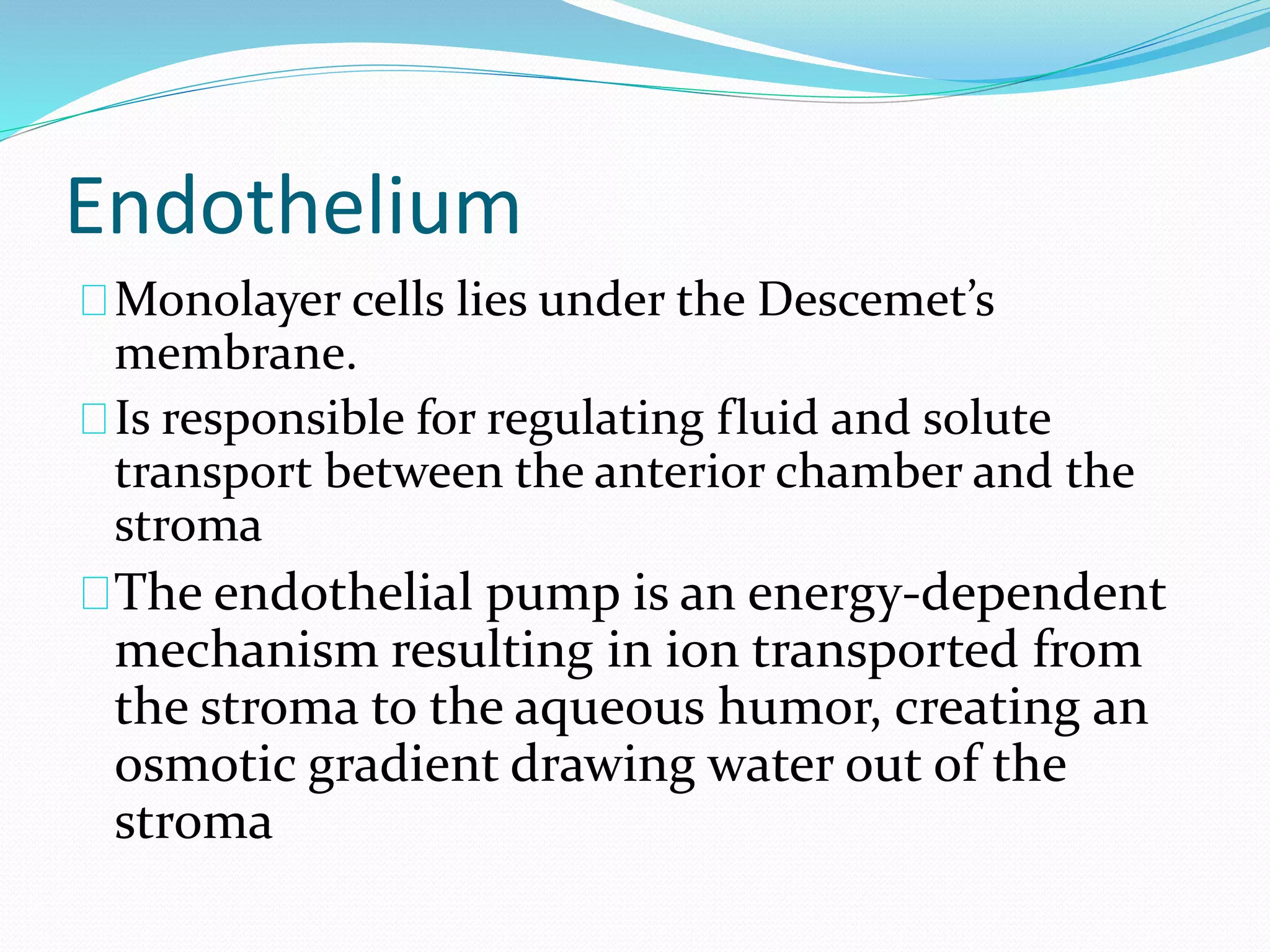 Anatomy and physiology of the eye | PPTX