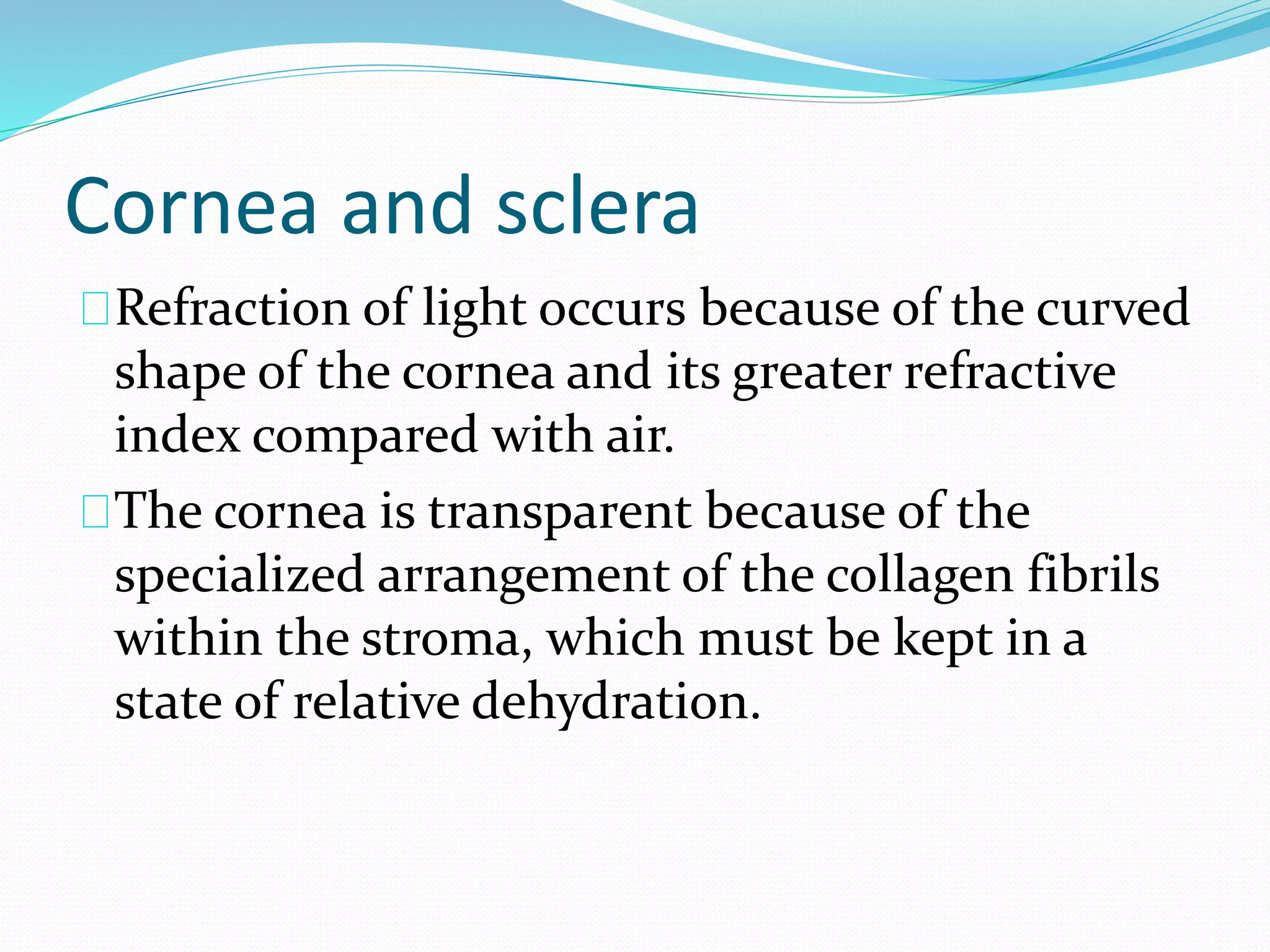 Anatomy and physiology of the eye | PPTX