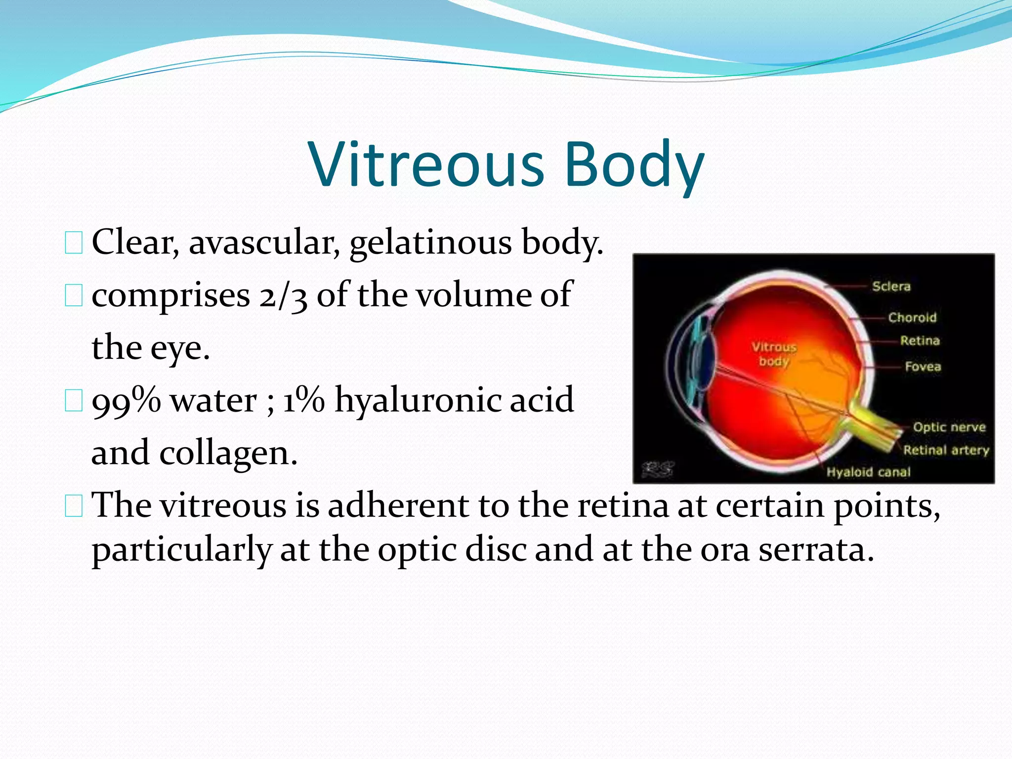 Anatomy and physiology of the eye | PPTX