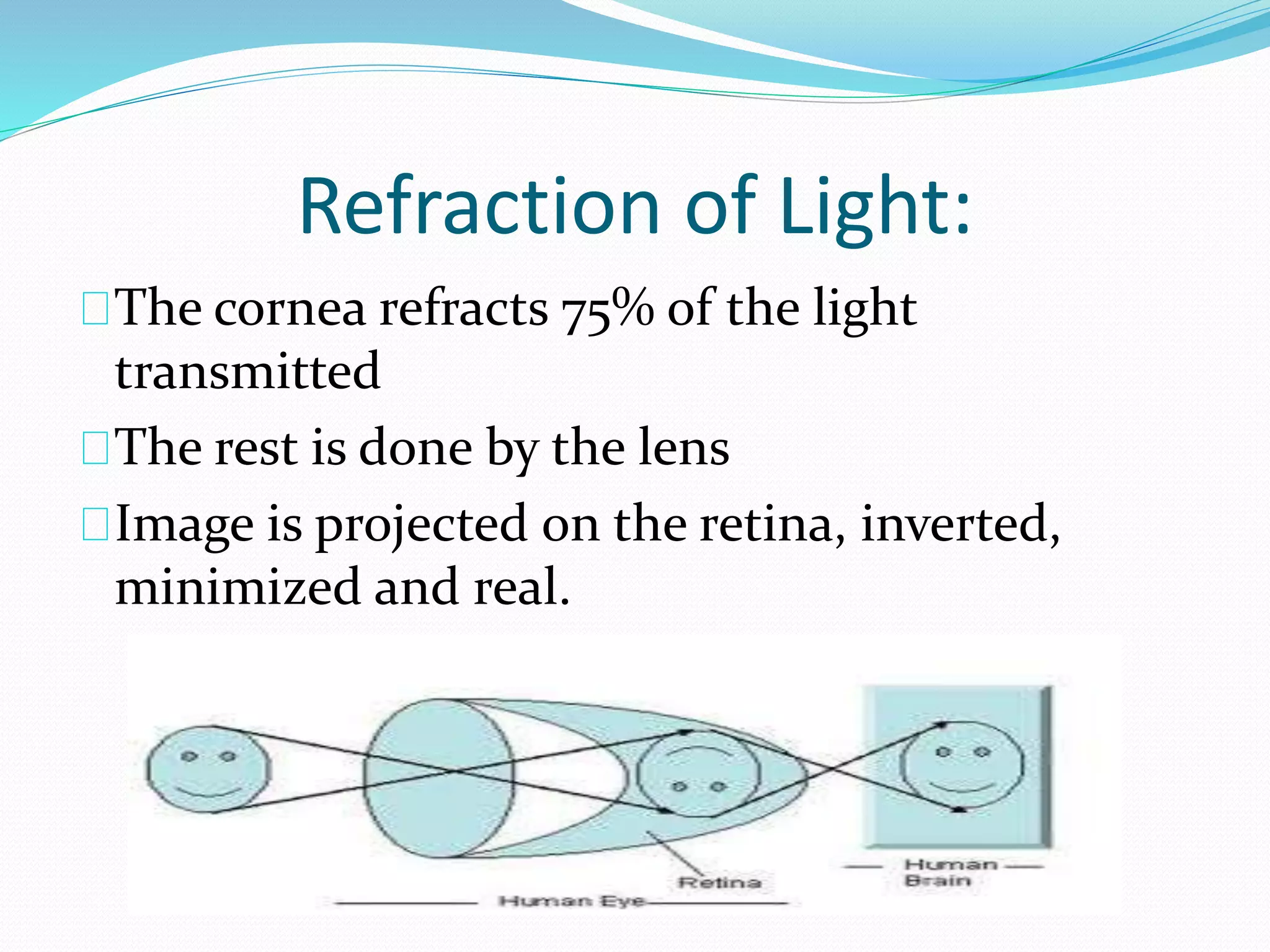 Anatomy and physiology of the eye | PPTX