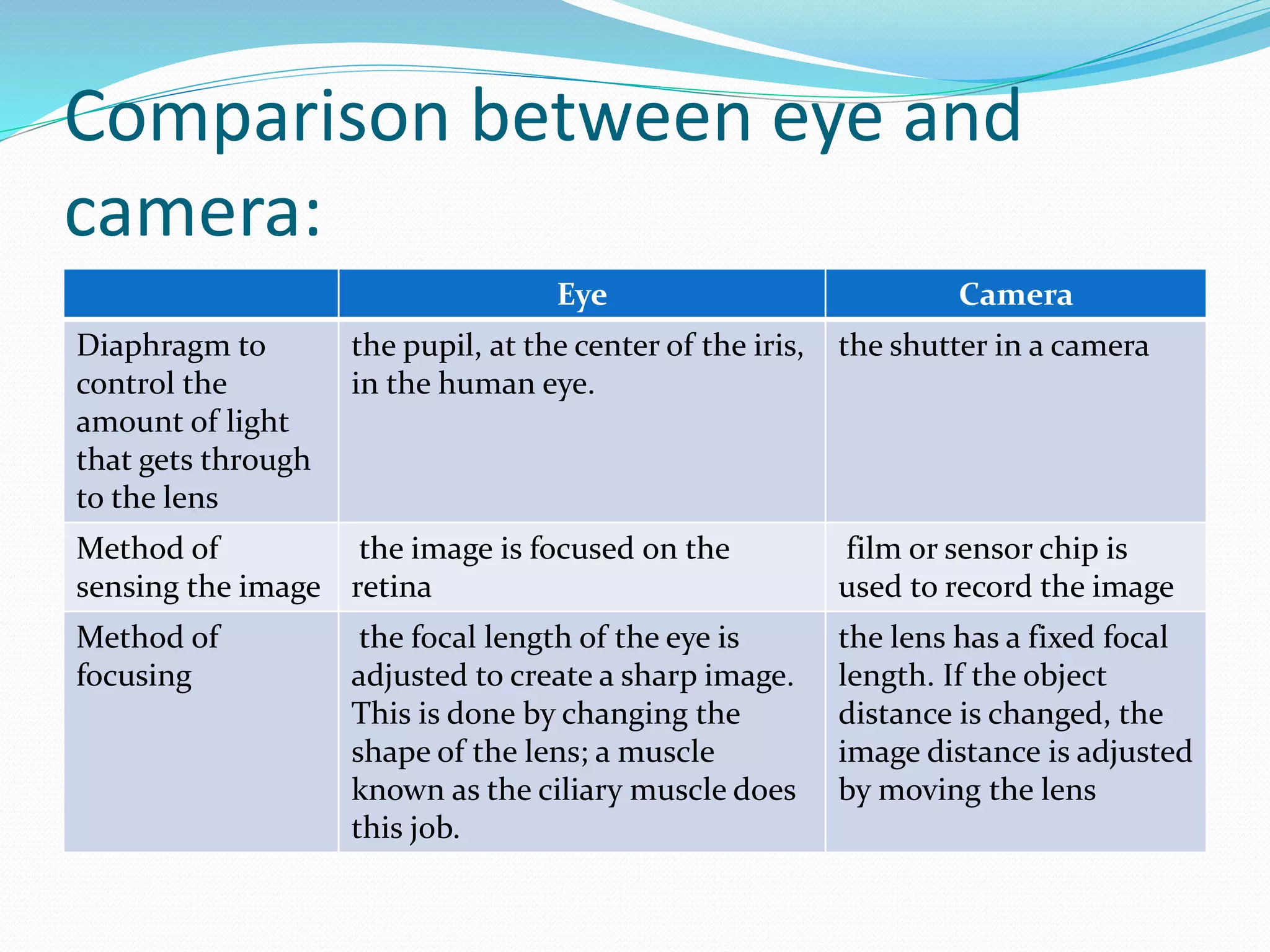 Anatomy and physiology of the eye | PPTX
