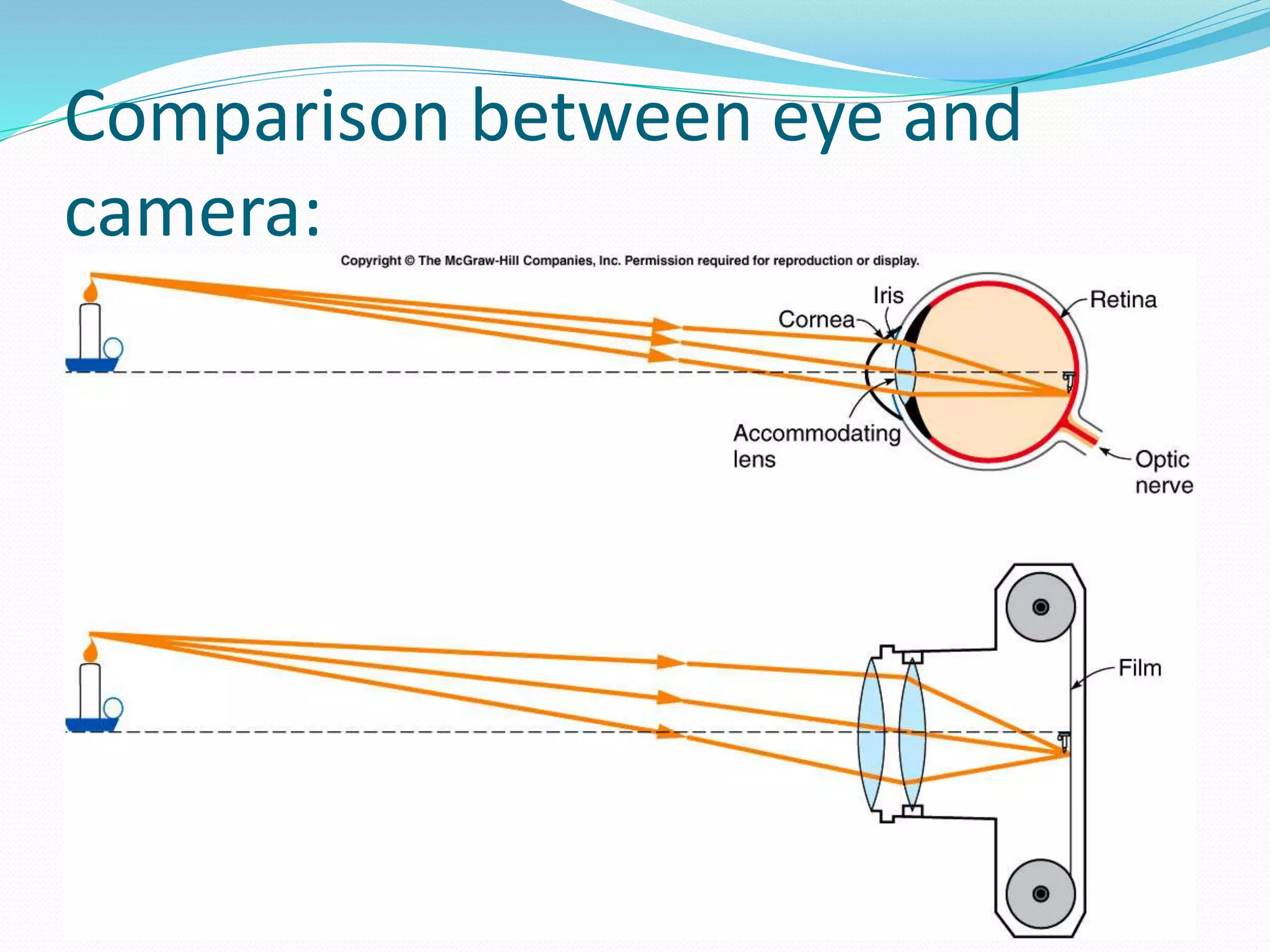 Anatomy and physiology of the eye | PPTX