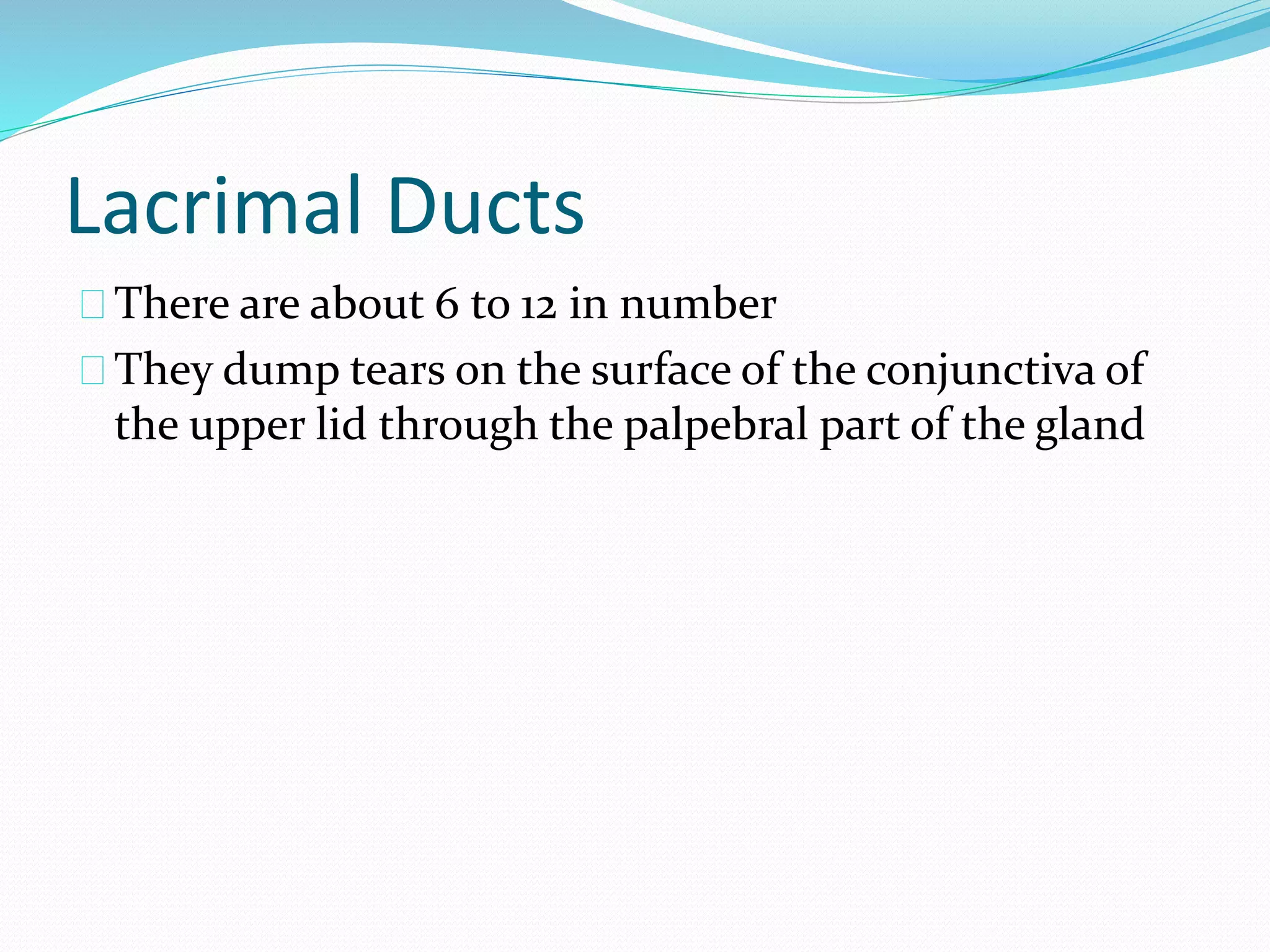 Anatomy and physiology of the eye | PPTX