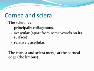 Anatomy and physiology of the eye | PPTX