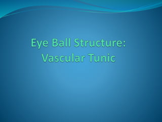 Anatomy and physiology of the eye | PPTX