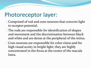 Anatomy and physiology of the eye | PPTX