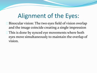 Anatomy and physiology of the eye | PPTX