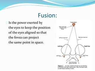 Anatomy and physiology of the eye | PPTX