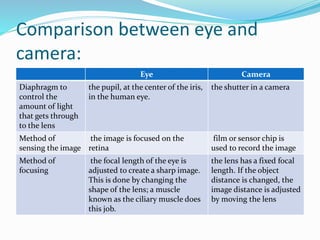 Anatomy and physiology of the eye | PPTX