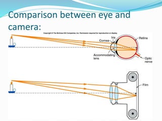 Anatomy and physiology of the eye | PPTX