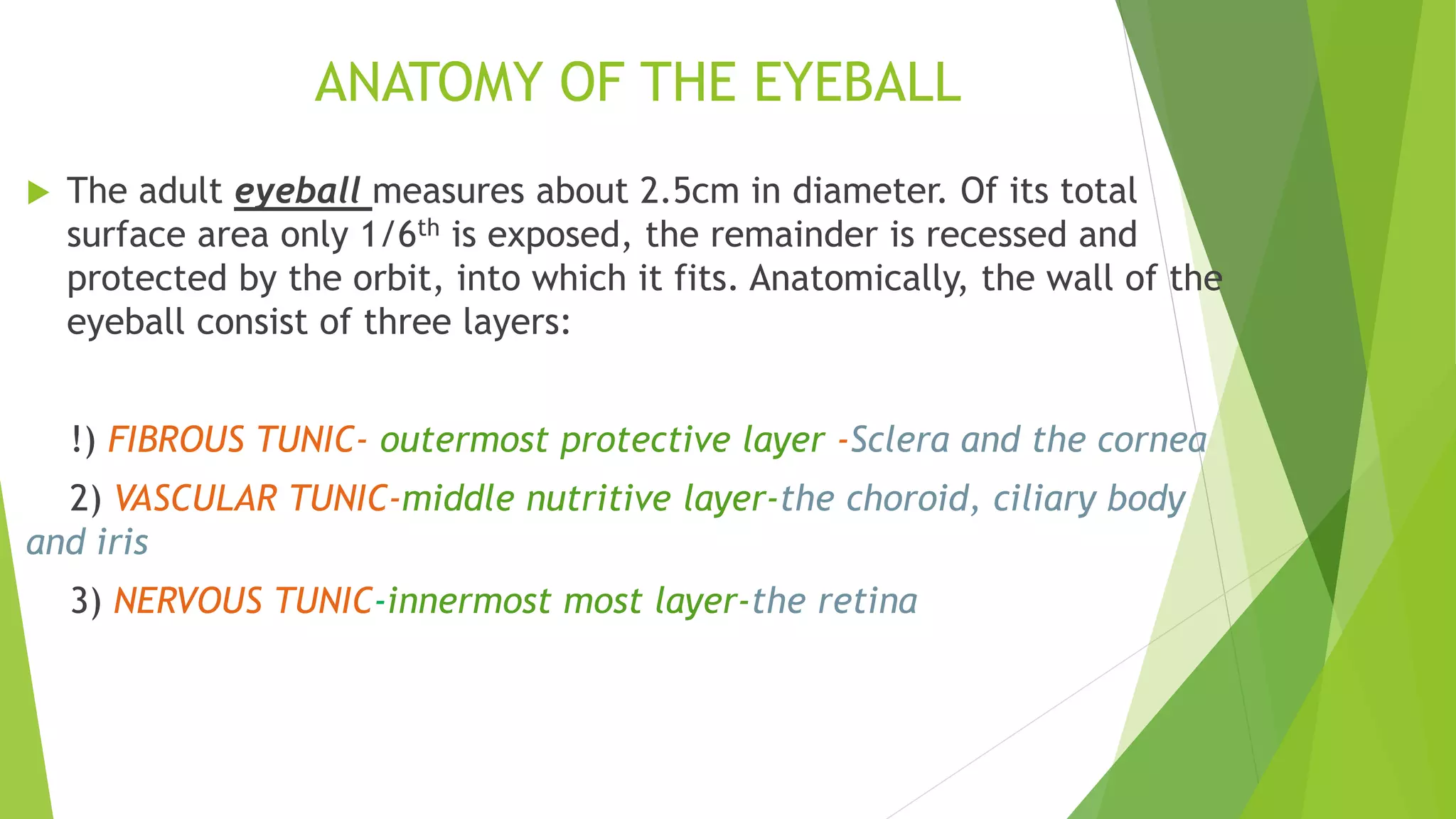 Anatomy and physiology of the Eye-Nursing | PPTX