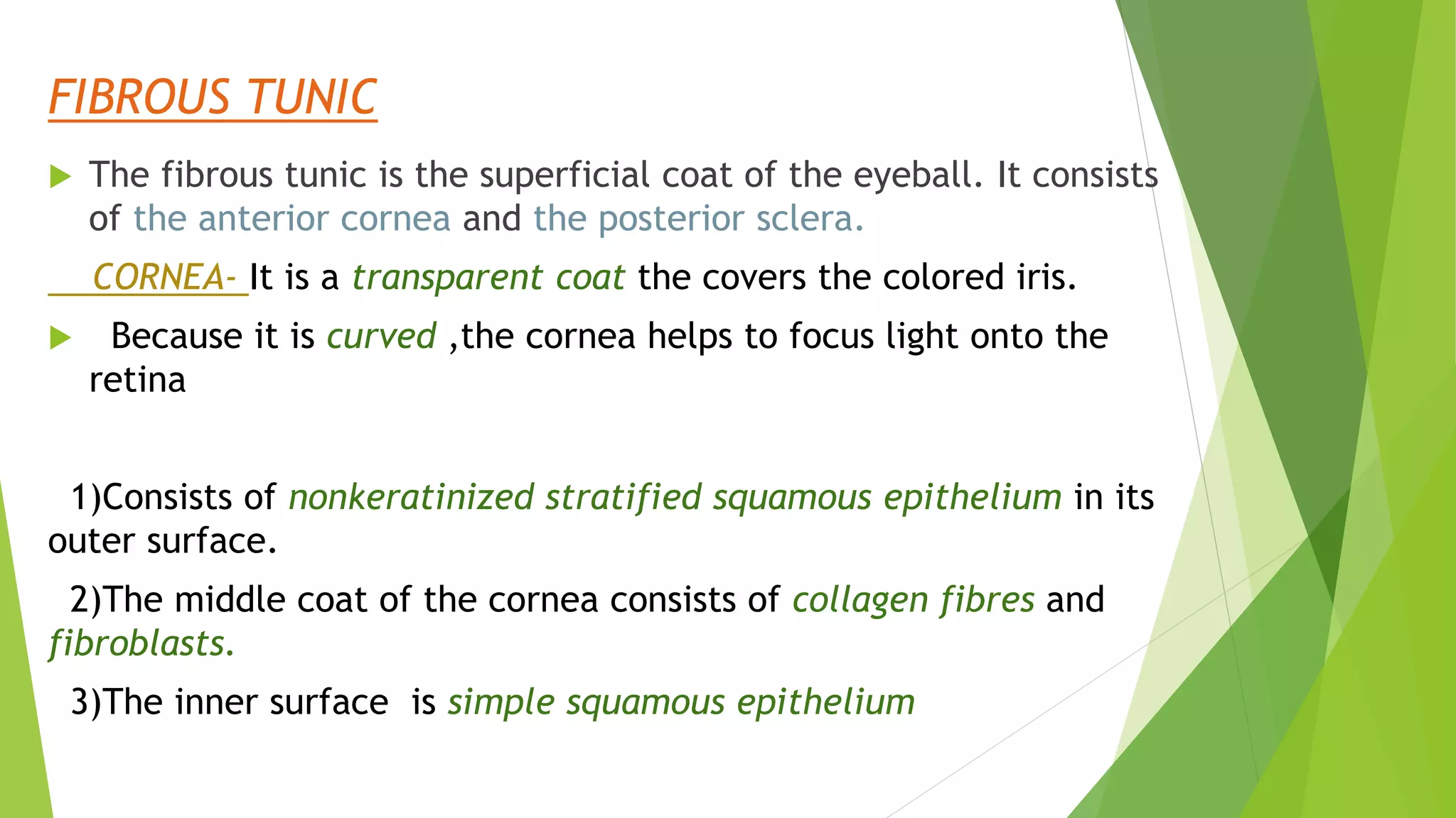 Anatomy and physiology of the Eye-Nursing | PPTX