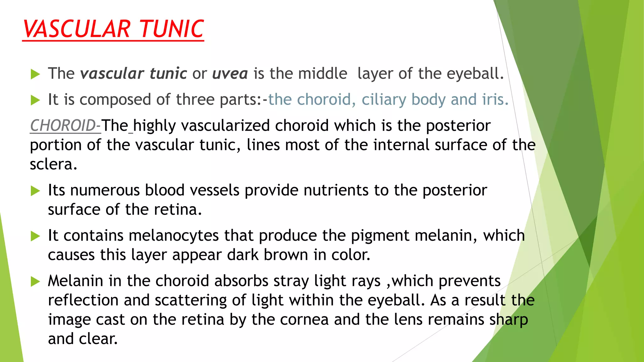 Anatomy and physiology of the Eye-Nursing | PPTX