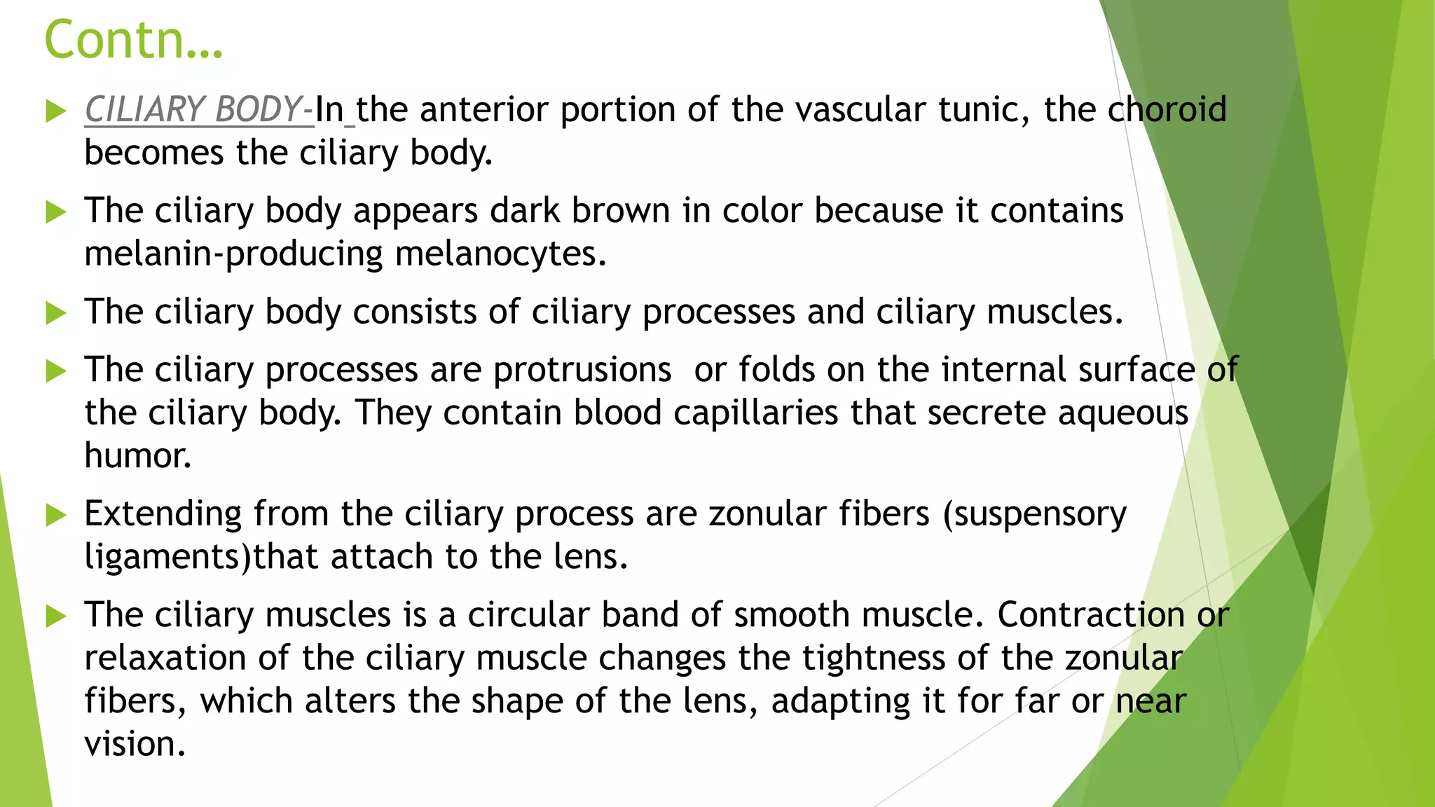 Anatomy and physiology of the Eye-Nursing | PPTX