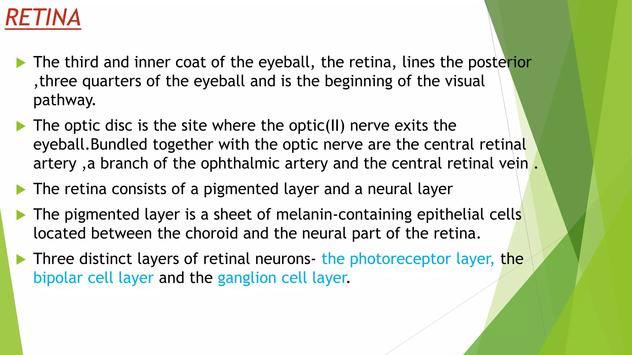 Anatomy and physiology of the Eye-Nursing | PPTX