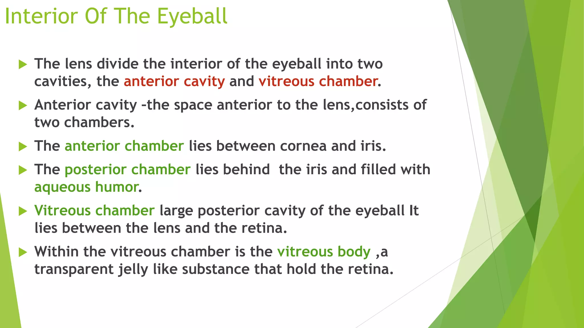 Anatomy and physiology of the Eye-Nursing | PPTX