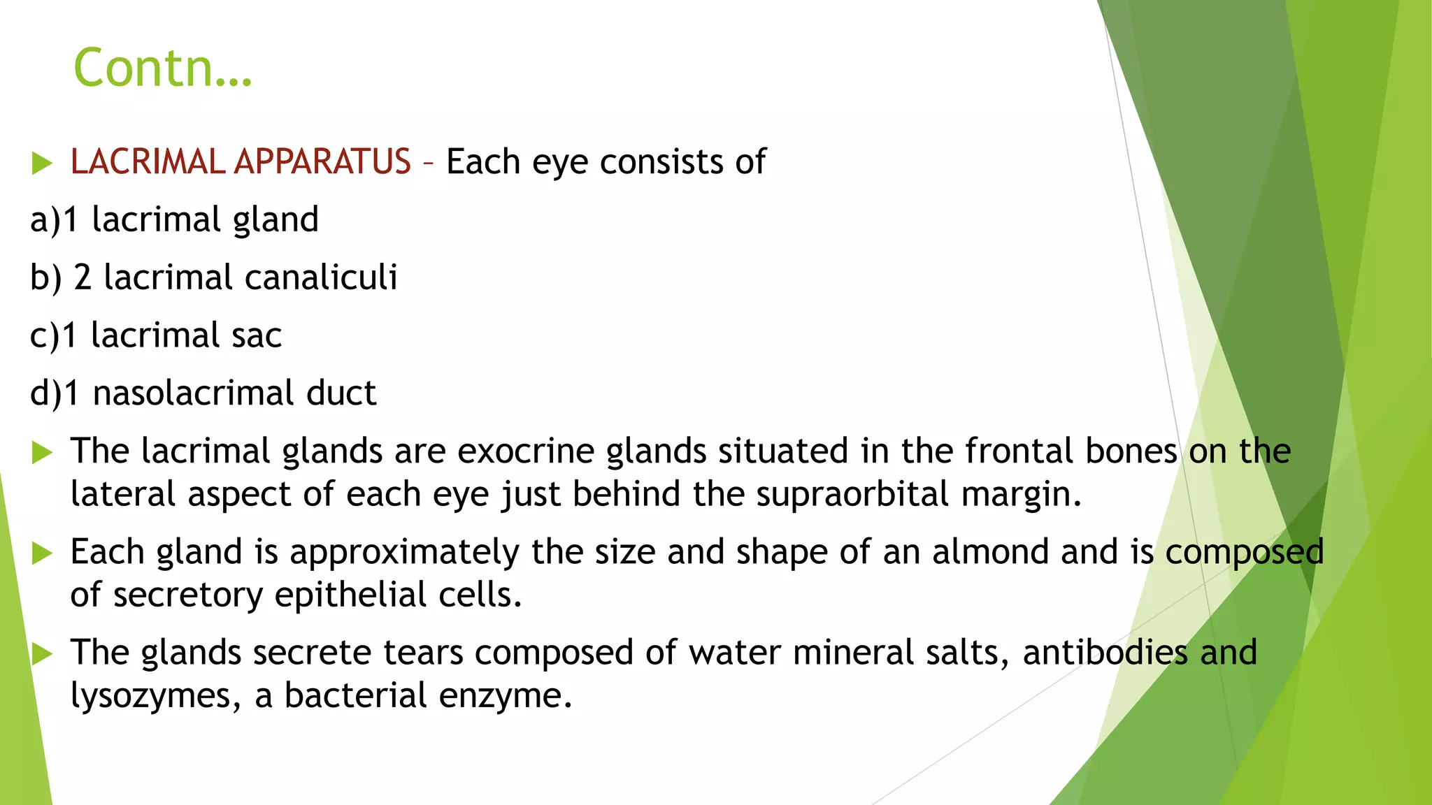 Anatomy and physiology of the Eye-Nursing | PPTX