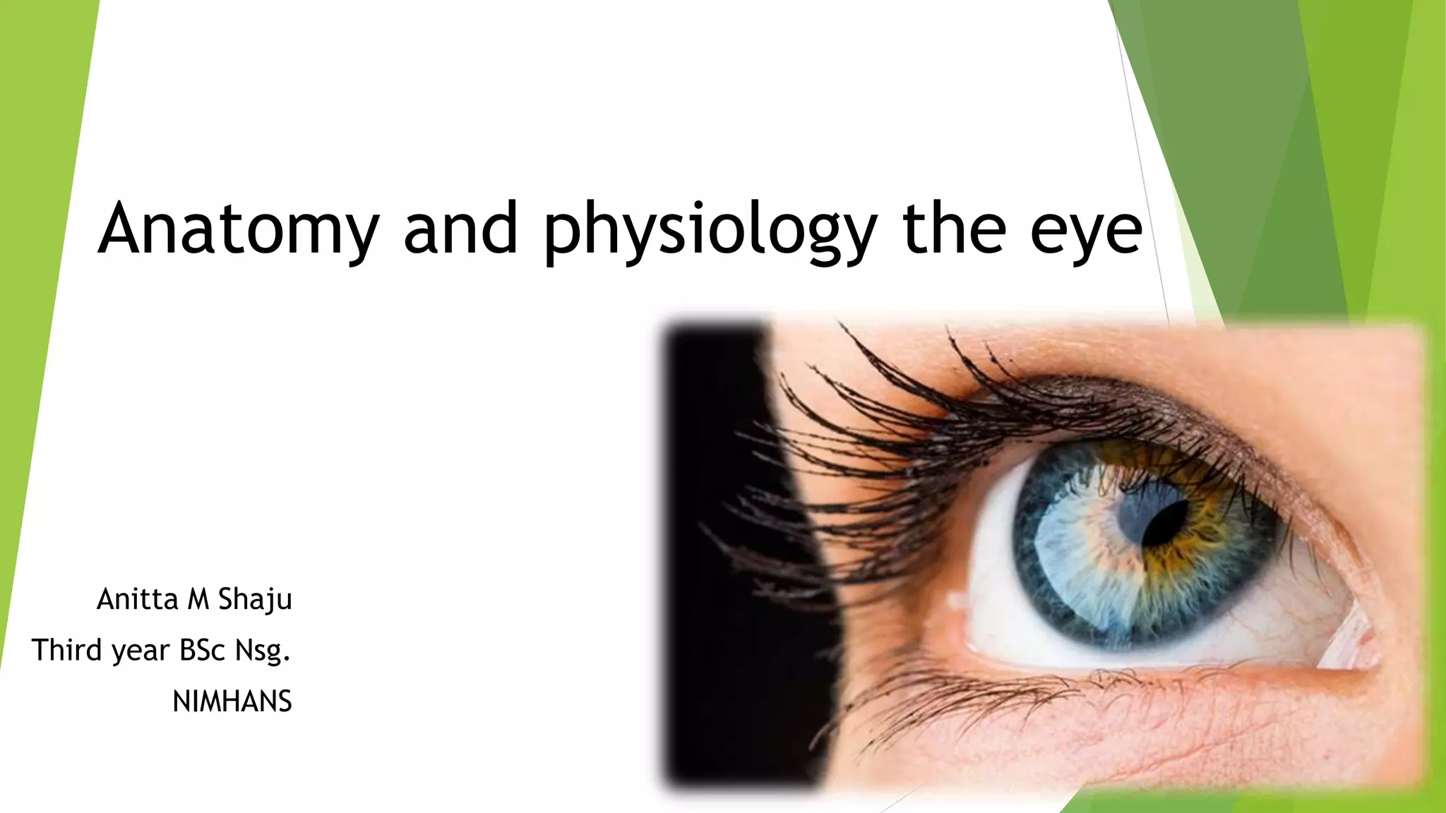 Anatomy and physiology of the Eye-Nursing | PPT
