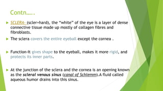 Anatomy and physiology of the Eye-Nursing | PPTX