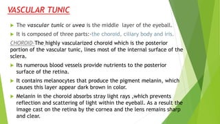 Anatomy and physiology of the Eye-Nursing | PPTX
