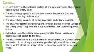 Anatomy and physiology of the Eye-Nursing | PPTX