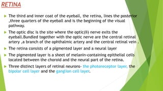 Anatomy and physiology of the Eye-Nursing | PPTX