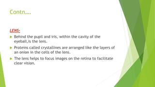 Anatomy and physiology of the Eye-Nursing | PPTX